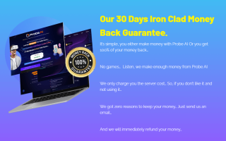 Probe AI Review: The Truth About This Untapped AI Traffic Source